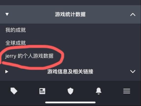 cs2怎么看历史战绩图标