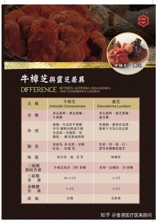 牛樟芝功效与作用截图