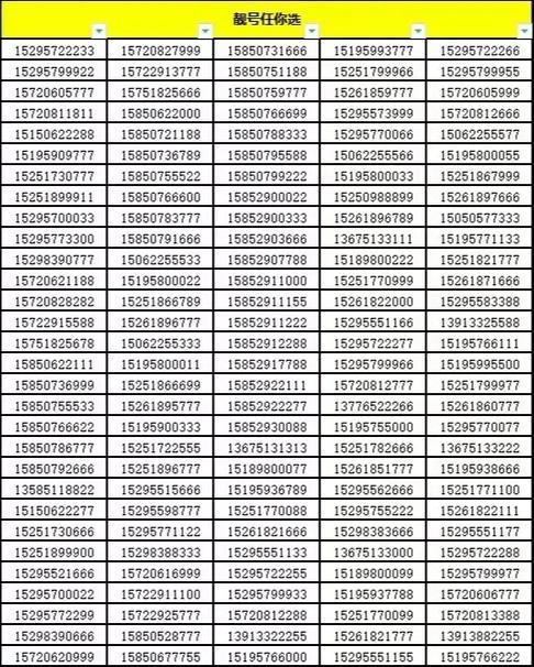 一个手机号几个宽带图标
