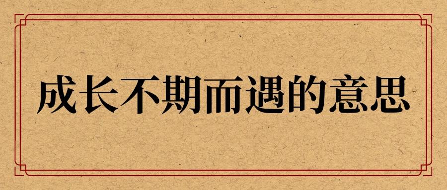 不期而遇啥意思