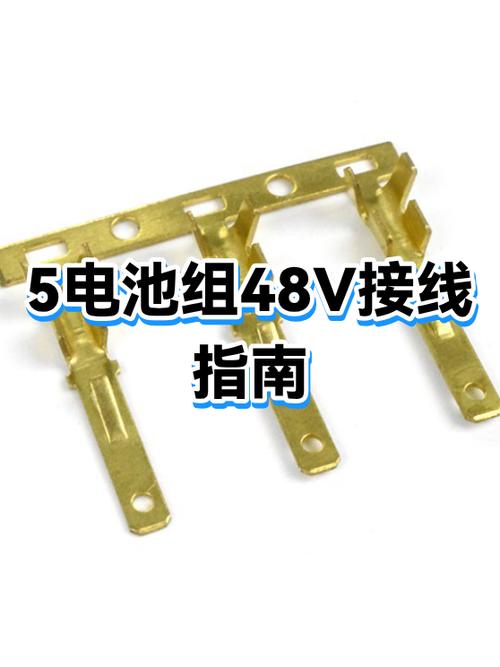 5块电池48v电动车电池接线图图标