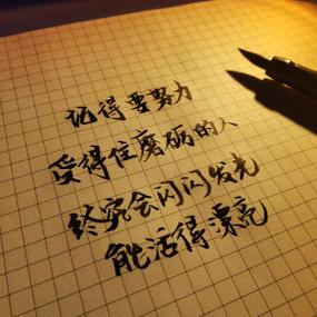 情感收集录截图