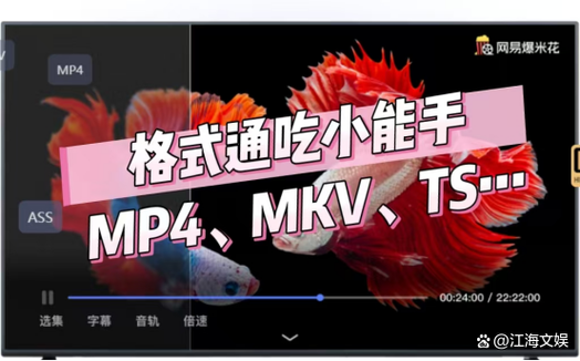 夸克网盘看视频