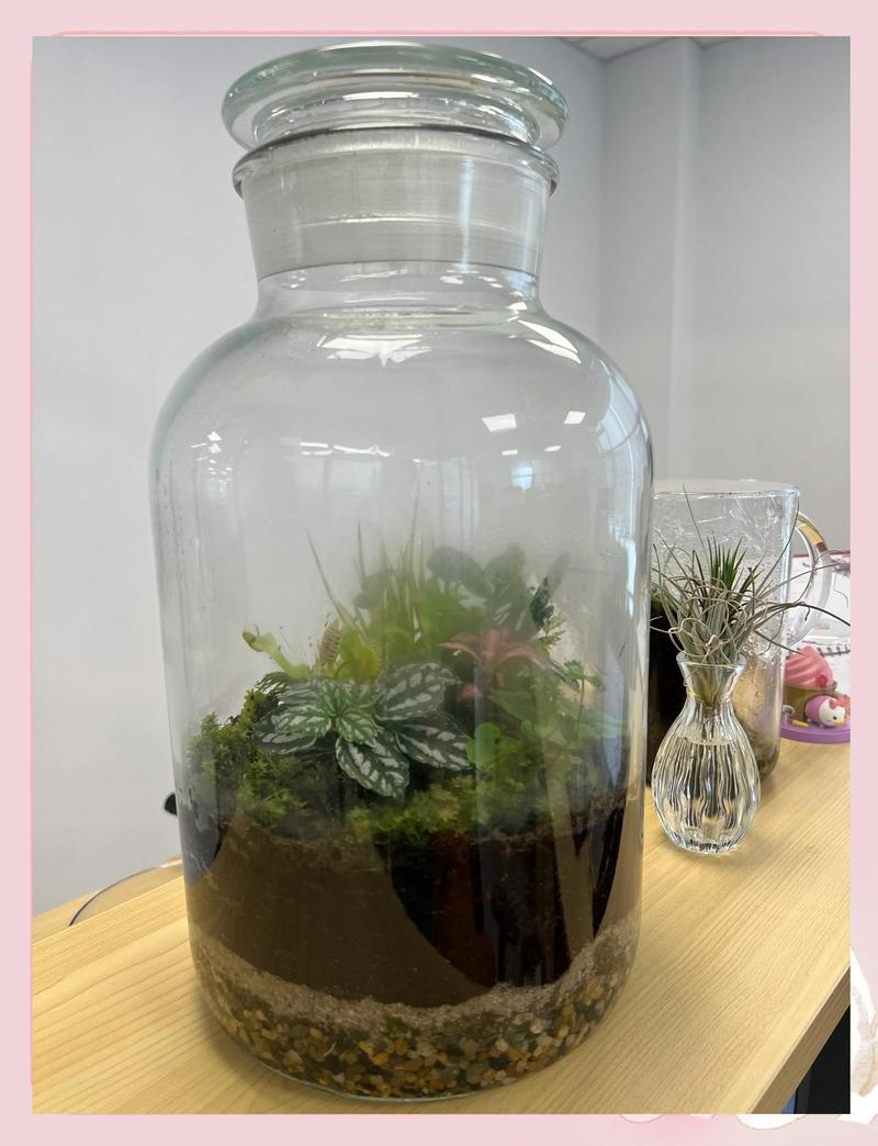 自制迷你生态瓶图标