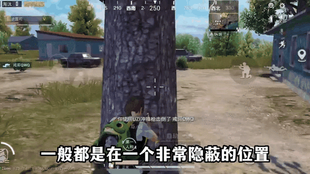 吃鸡咋隐身在线截图