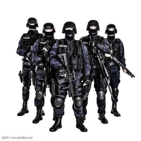 中国斯沃特特警图标