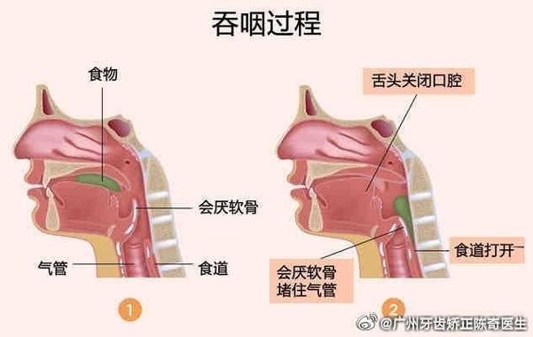 《吞咽》小说图标
