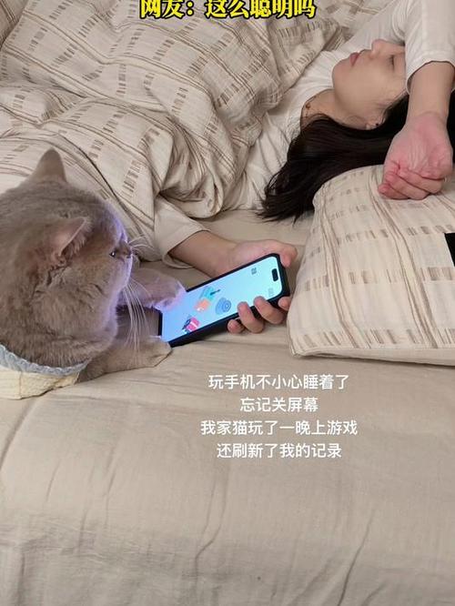 晚上睡着了手机忘关屏幕了图标
