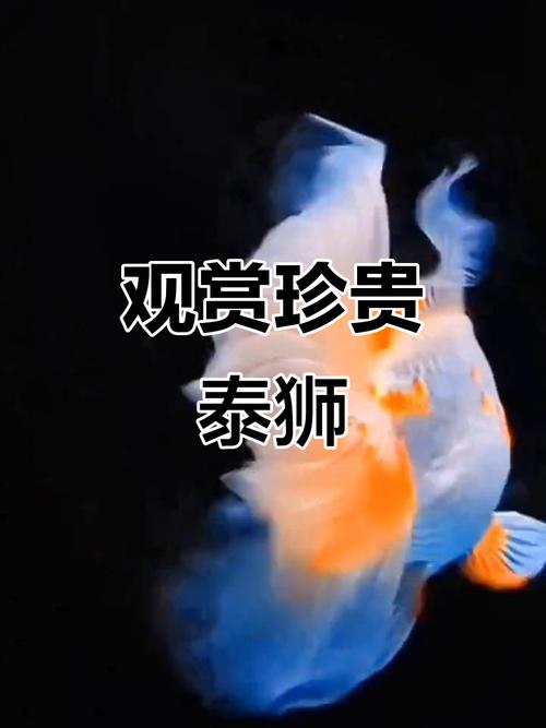 泰狮最贵的三个品种图标