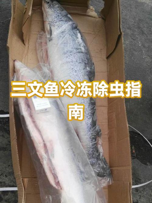 三文鱼放冷冻6个月还能吃吗图标