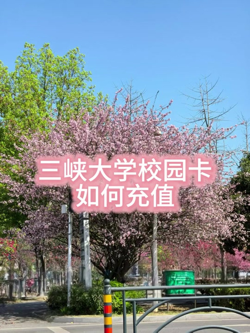 中国银行充校园卡截图