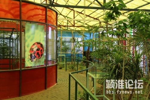 昆虫主题公园图标
