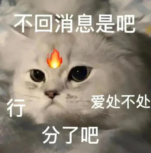 不回消息是故意不回吗图标