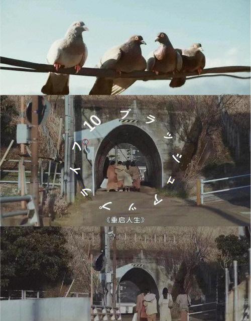 重启人生1安卓截图