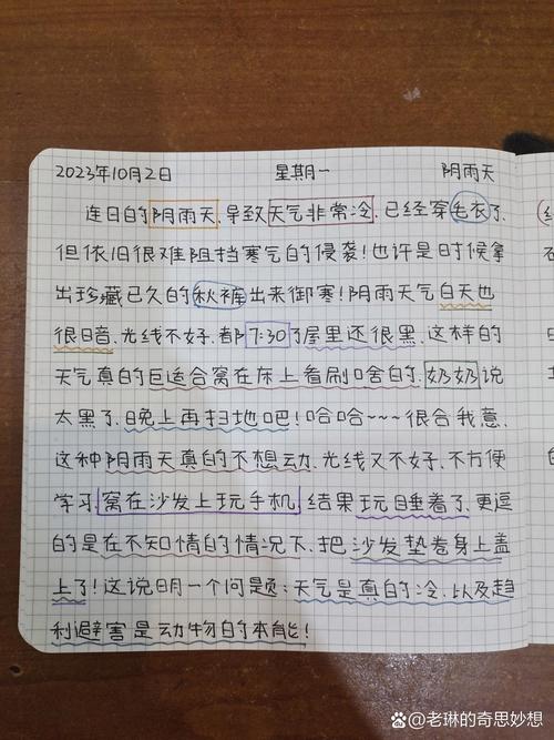 今日头条晶晶的生活日记图标