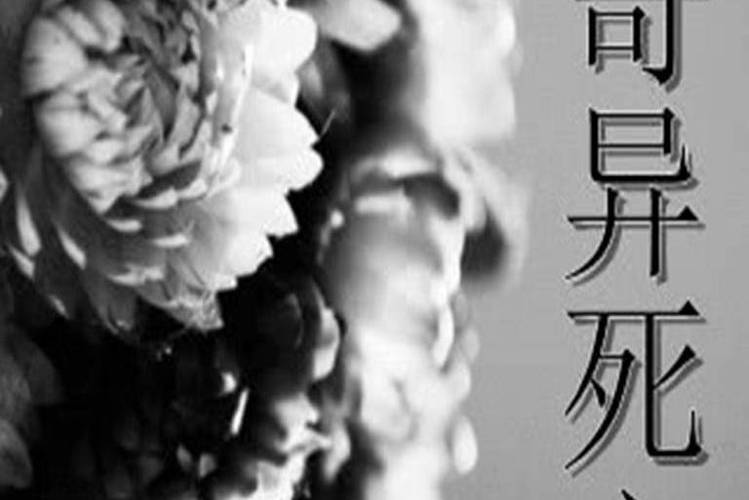 奇异死亡纪录片截图