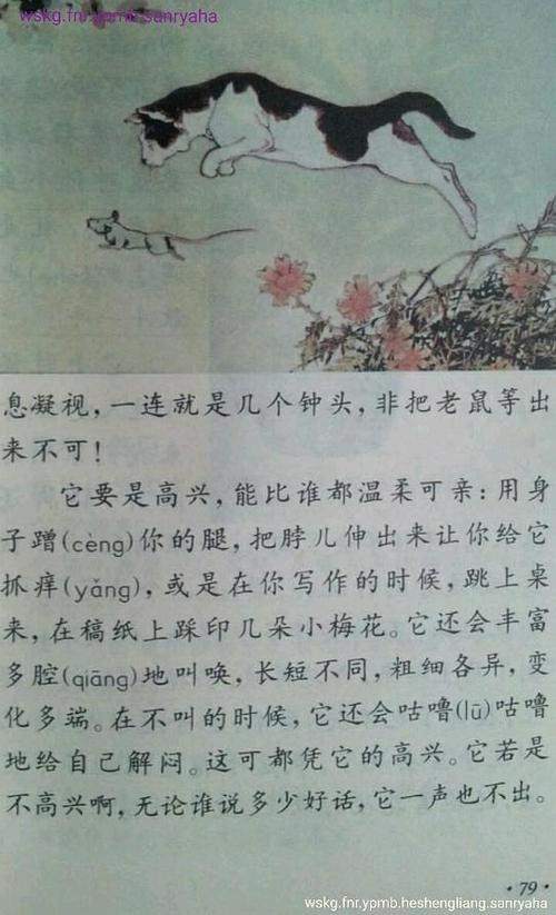 《我家的小猫》图标
