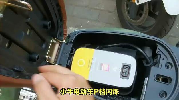 小牛191故障 p档闪烁图标