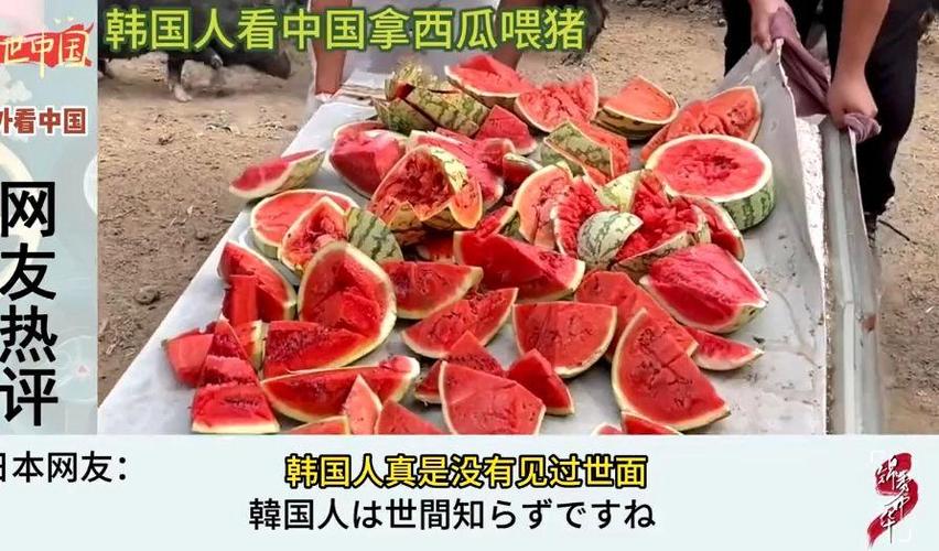 韩国吃西瓜很奢侈吗图标