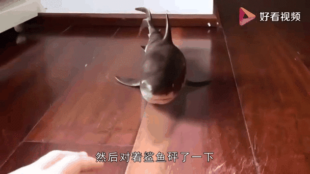 合成鲨鱼图标
