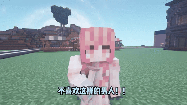我的世界只有他姊妹篇图标