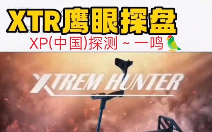法国xp金属探测器截图