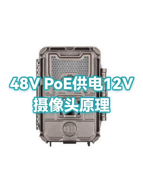 poe摄像头有12V输出吗截图