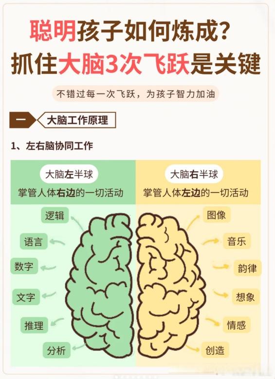 如何提升记忆能力图标