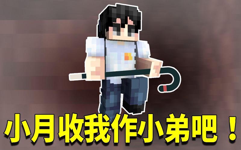 阿阳单人生存日记全集截图