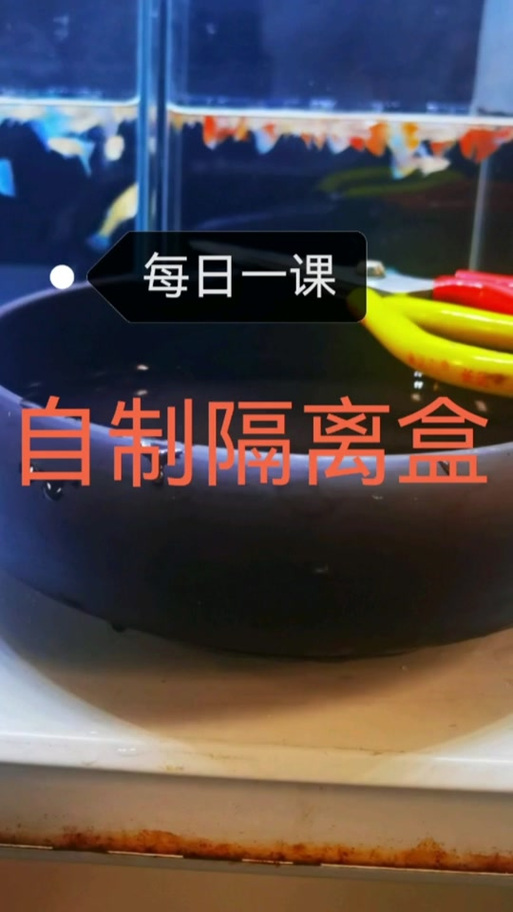 斗鱼盒子图标