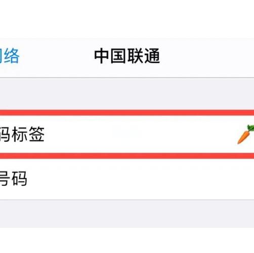 苹果11支持双卡双待怎么用图标