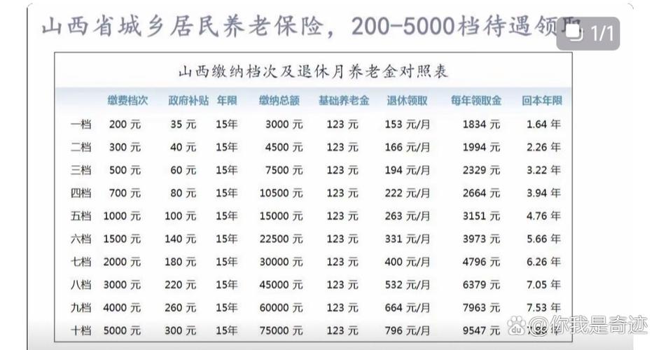养老交200和1000区别截图
