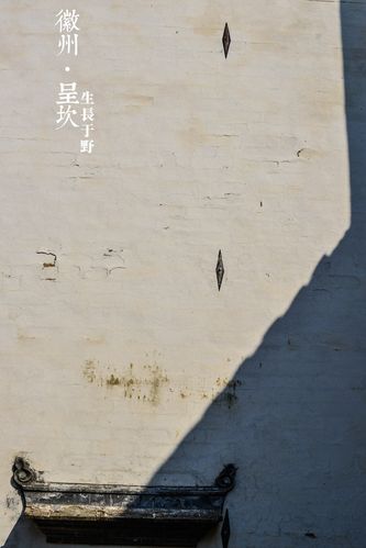 白墙是什么意思图标