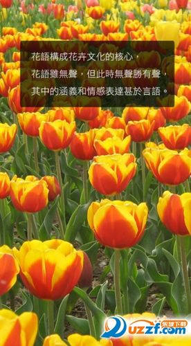 花语大全软件下载图标