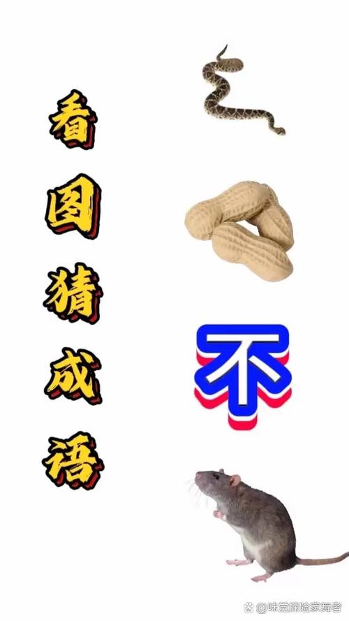 看图猜猜成语游戏图标