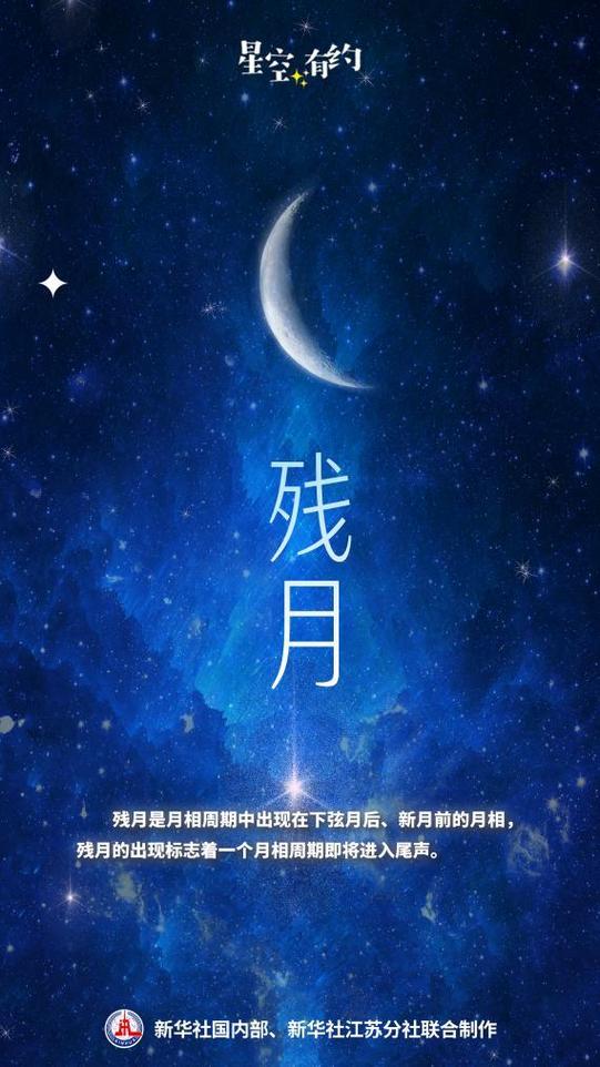 残月资源网截图