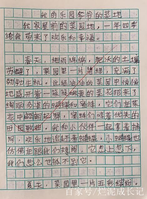 我的乐园作文400字爷爷的菜园图标