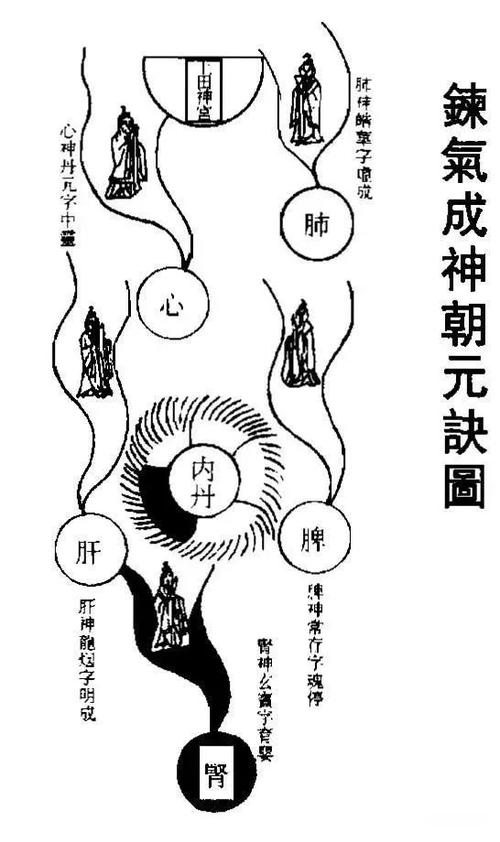 修仙模拟器脏腑旧损怎么办图标