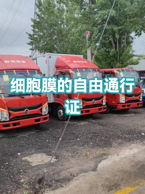 解除引导式访问缩略图