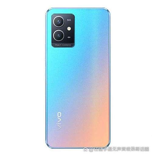 vivo英文翻译中文是什么意思图标