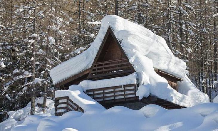 雪遇by夏诺多吉全文免费阅读截图