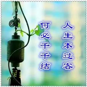 过客的人物形象给我们的人生启示图标