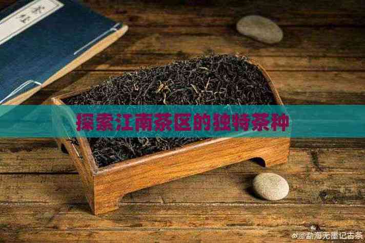茶树种子图片图标