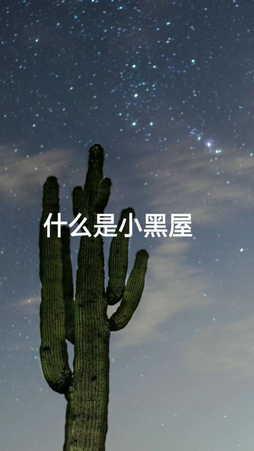 关进小黑屋还能出来吗图标