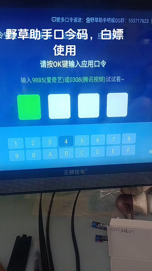 野草助手口令电视家图标