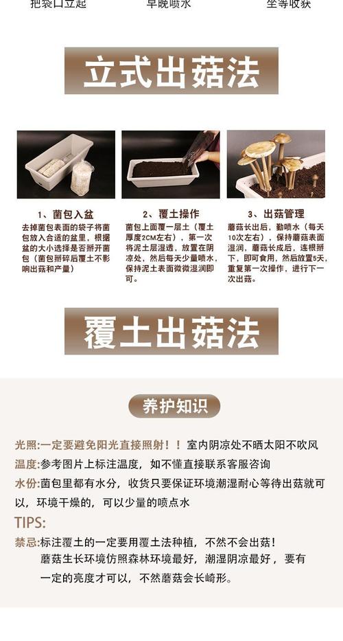 天龙蘑菇怎么设置捡包