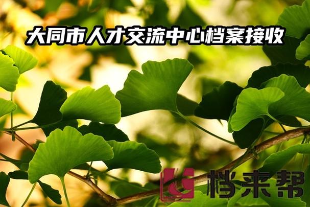大同人才中心档案截图