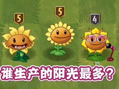 向日葵视频的使用方法截图