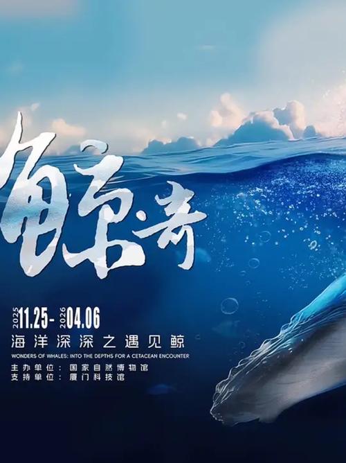 巨鲸电影图标