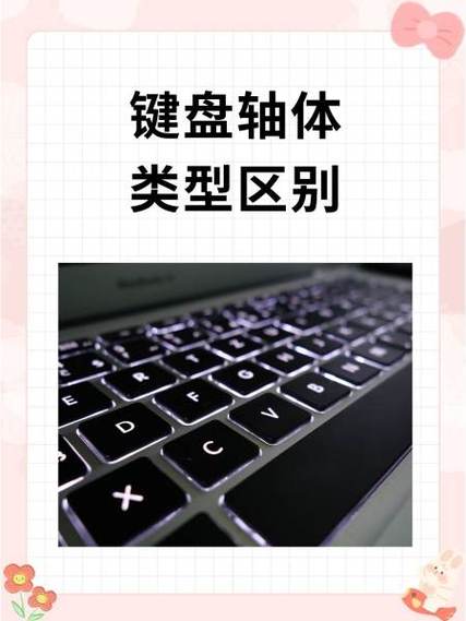 不同轴体键盘的区别